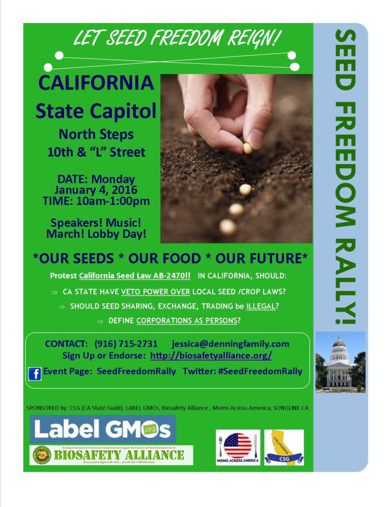 SEED SATYAGRAHA (Civil Disobedience to end Seed Slavery) - Seed Freedom