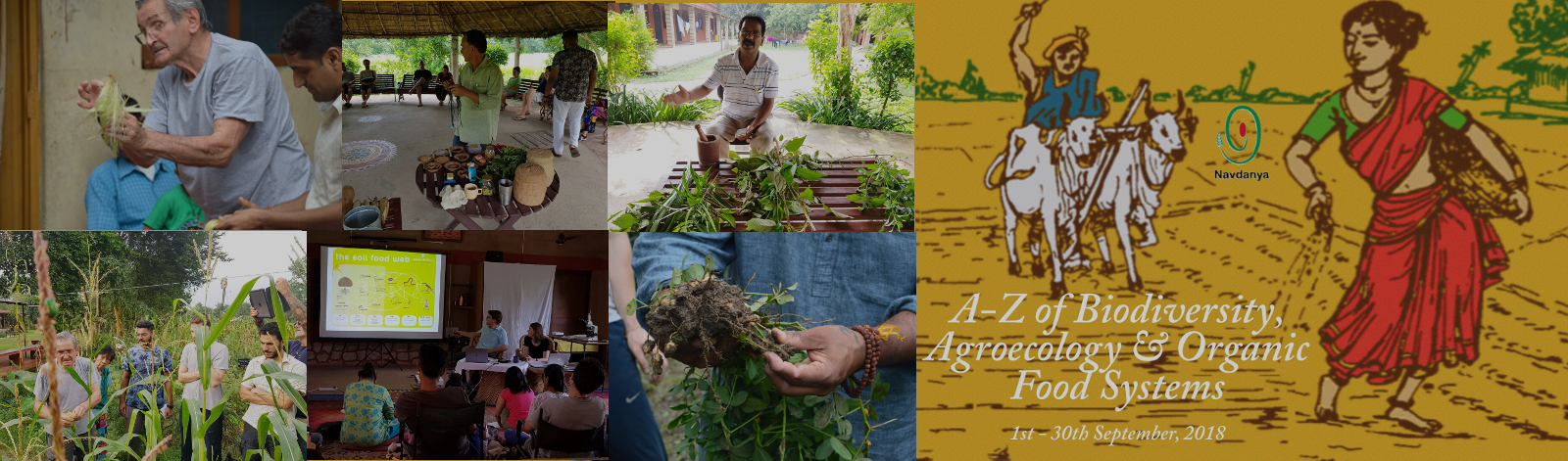 Home - Seed Freedom - A GLOBAL MOVEMENT TO DEFEND SEED FREEDOM