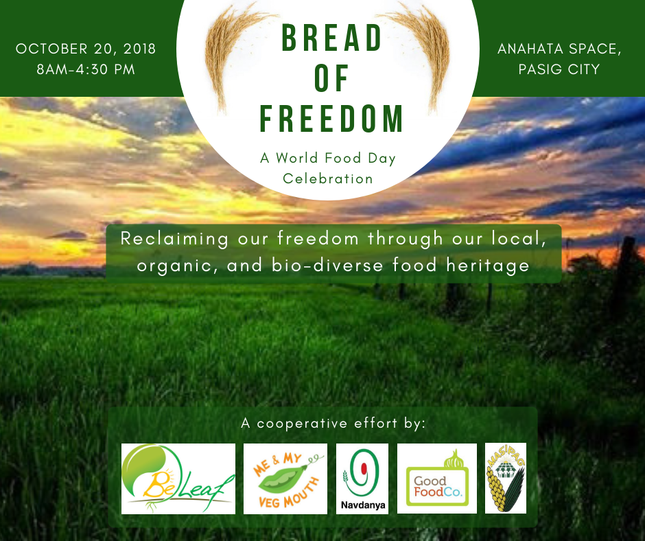 43595955_2055935264438680_1127038313694232576_n - Seed Freedom