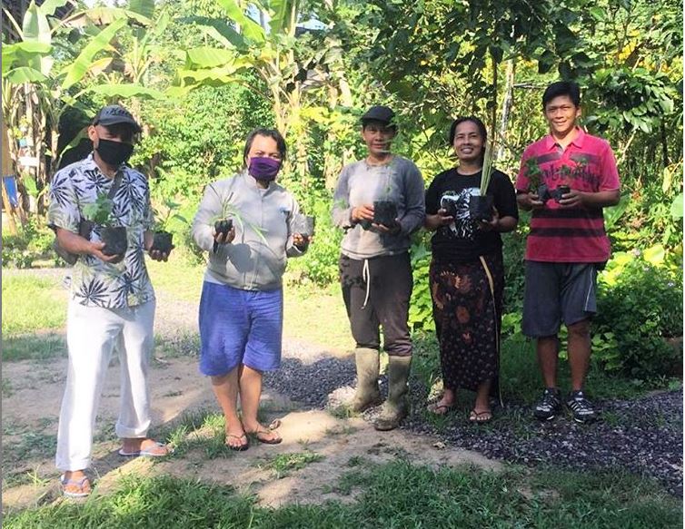 Seed savers in Bali support communities during the coronavirus crisis ...