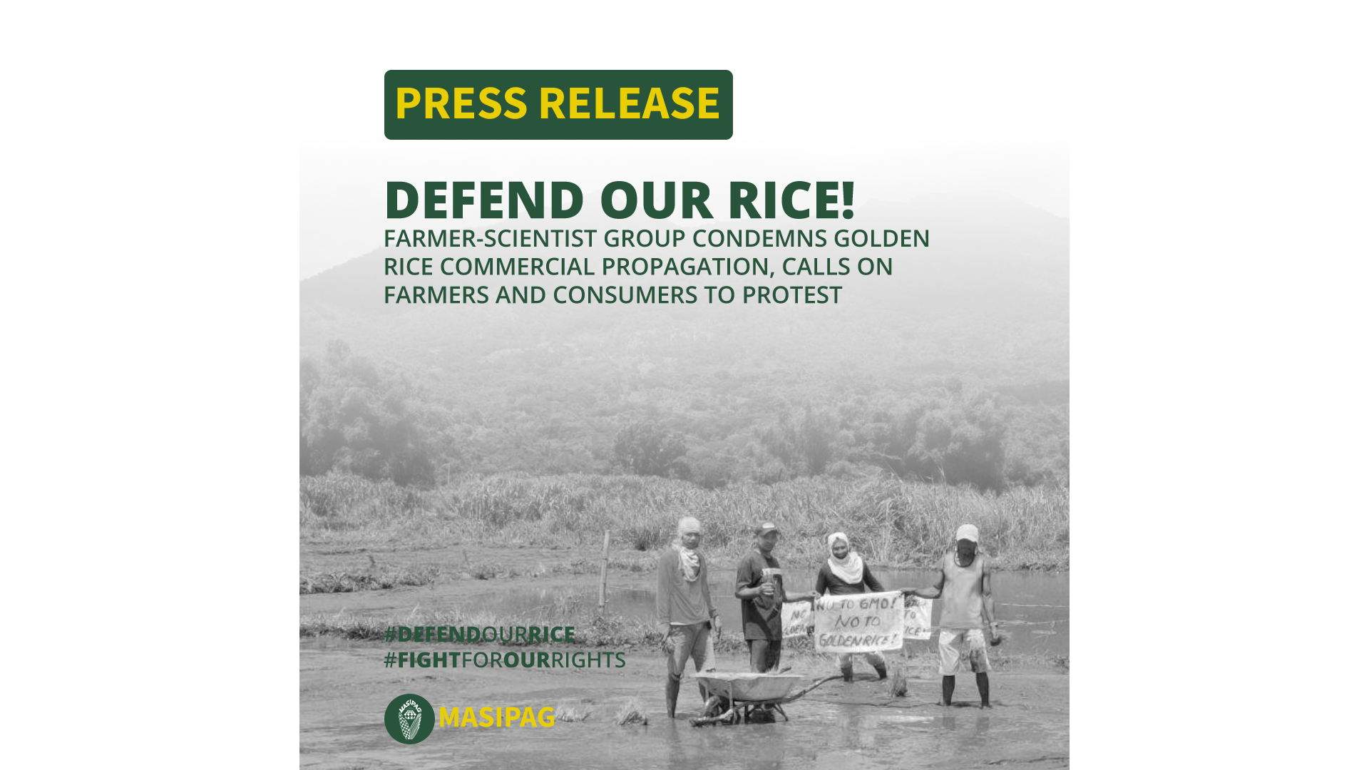 Defend Our Rice! Farmer-scientist group condemns Golden Rice commercial ...